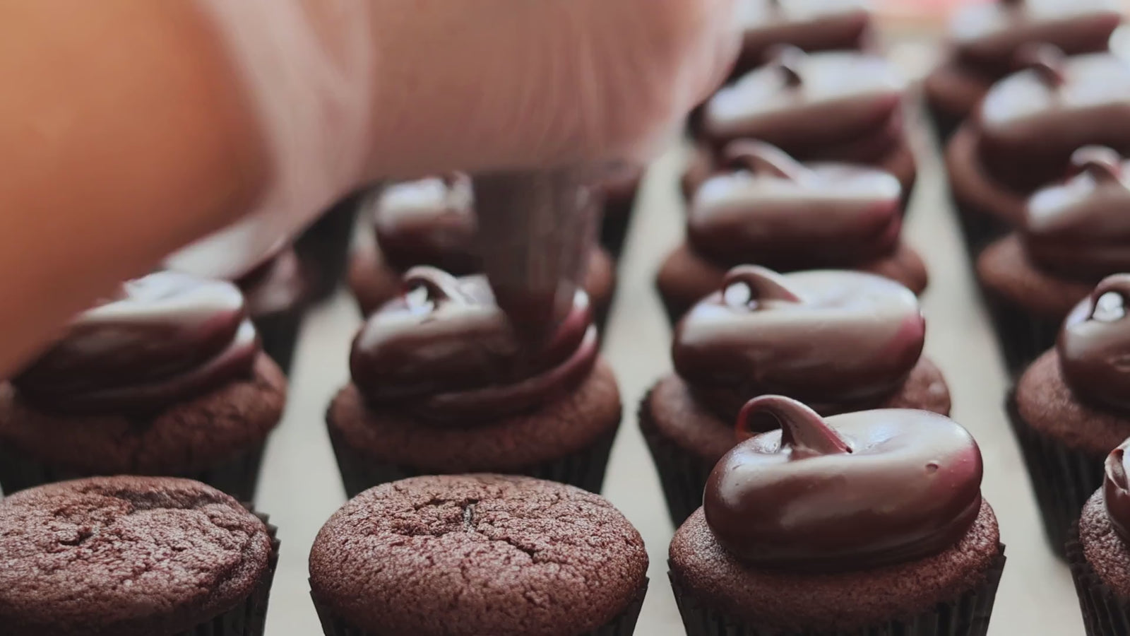 Georgetown Cupcake | DC Gourmet Cupcakes