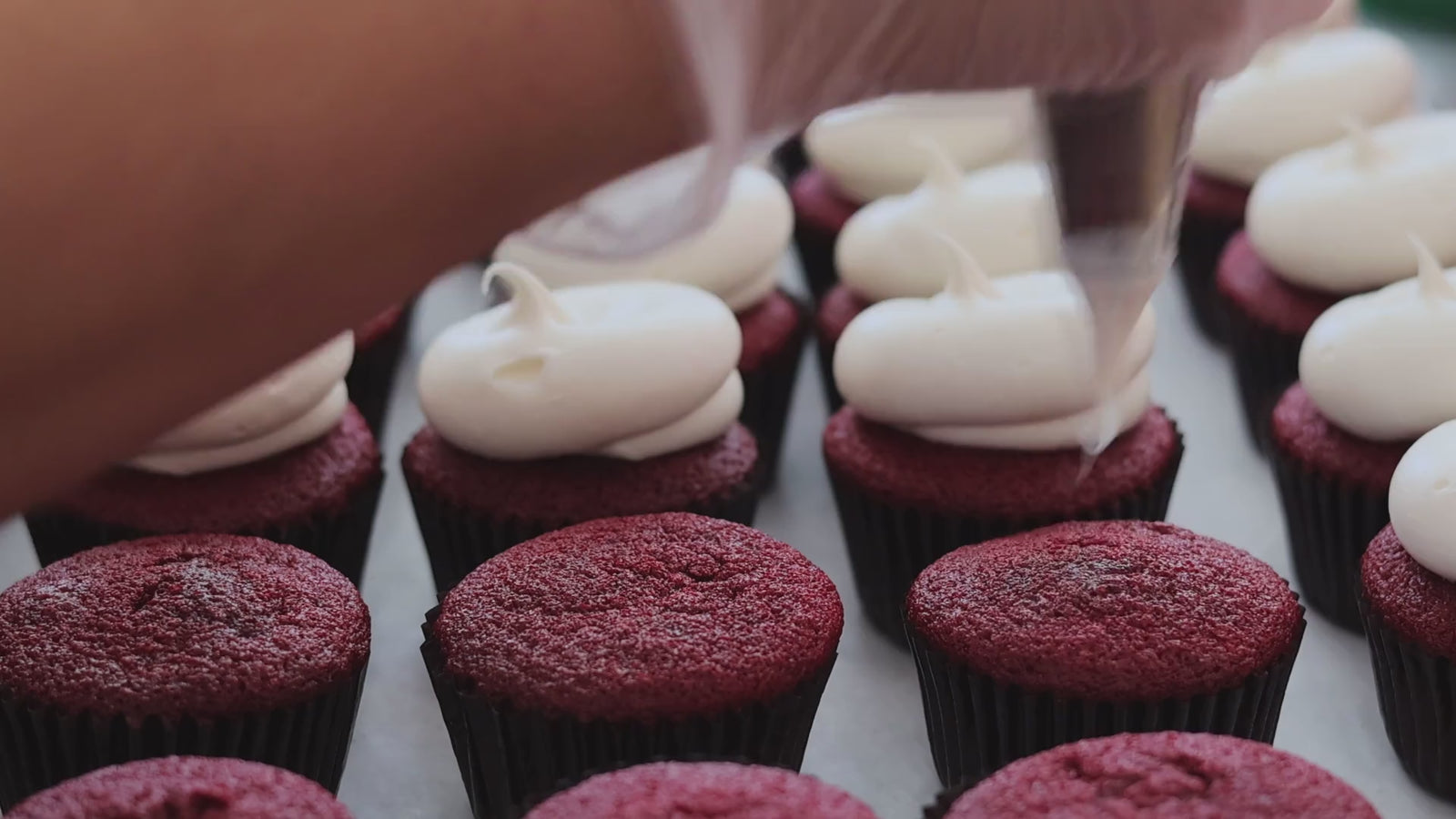 Georgetown Cupcake | DC Gourmet Cupcakes