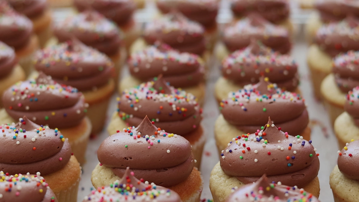 Our Cupcakes - Assortments – Georgetown Cupcake